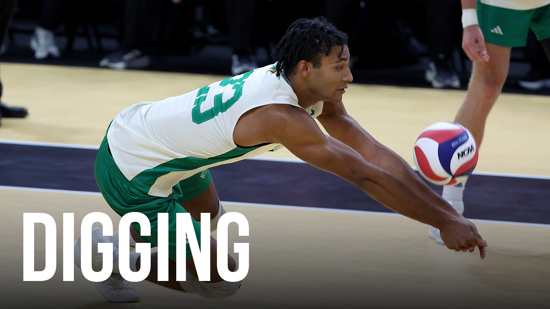 Youth Inc. Recommends: Top Five Resources to Master the Art of Digging ...